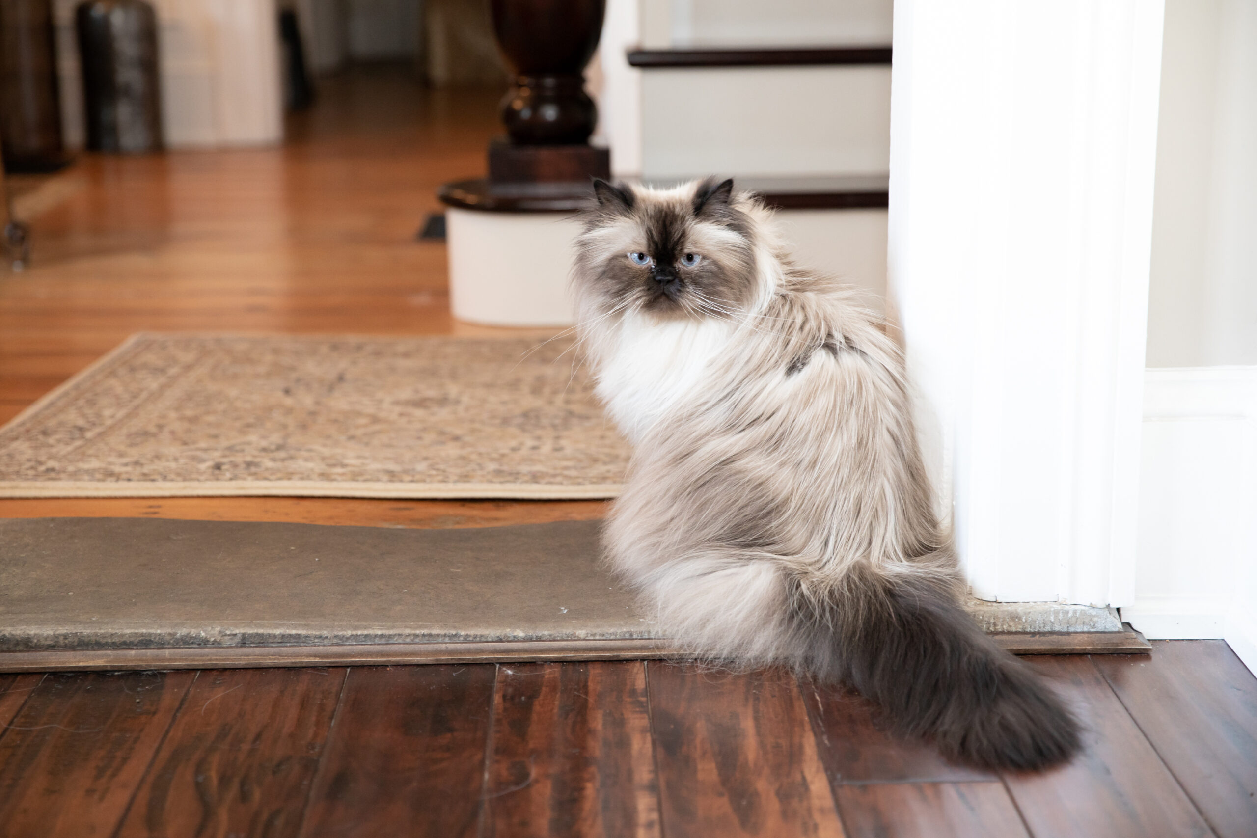 Empty-Nester's Guide to Selling | Georgetown Real Estate Agents